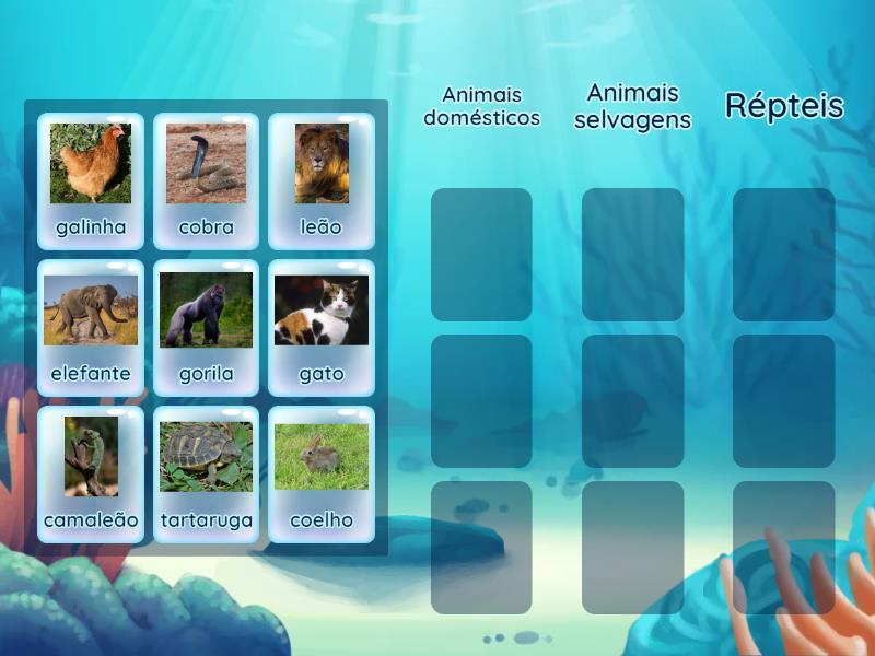 Animais - Group sort