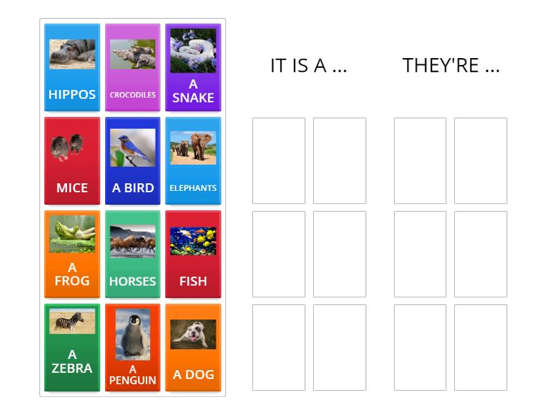 SORTING_ PLURAL AND SINGULAR - Group sort