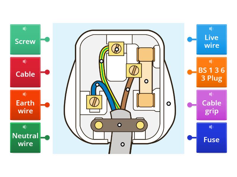 Plug: Identifying parts - Labelled diagram