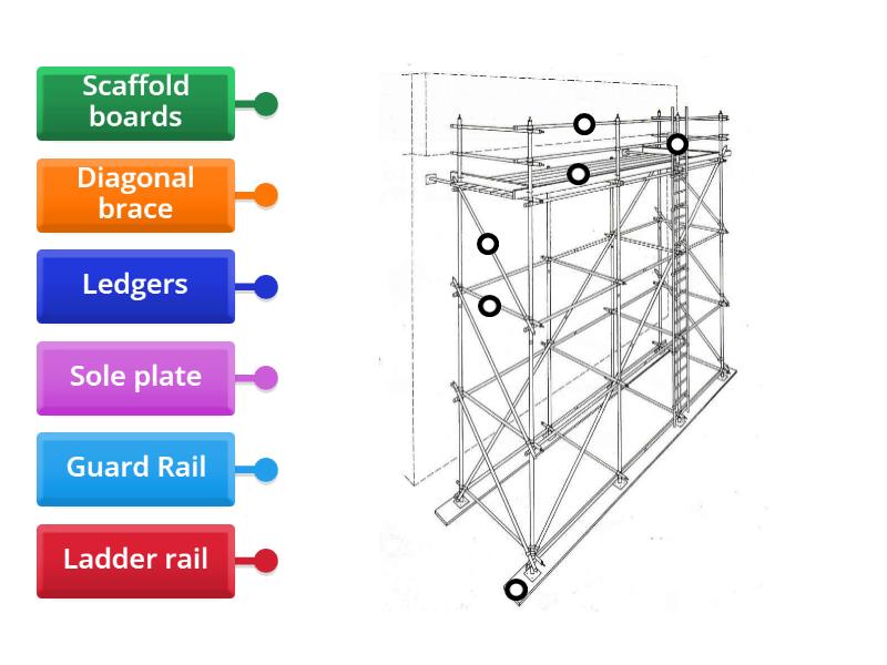 Label the Scaffolding - Labelled diagram