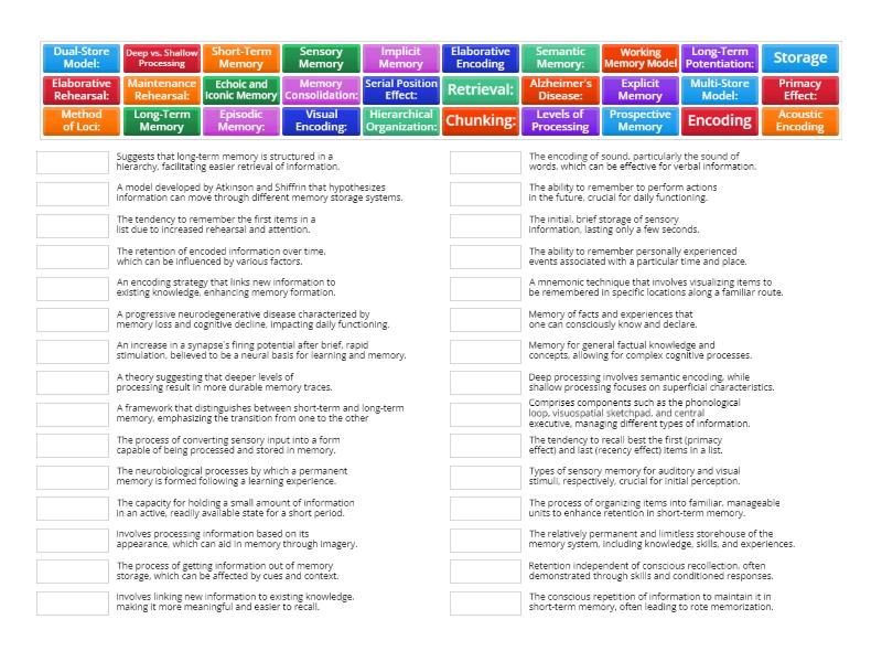 Unit 2 (cognition) Vocab Review - Match up