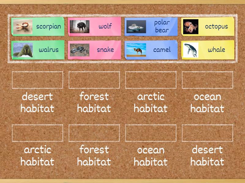 Habitat grade 2 - Associação
