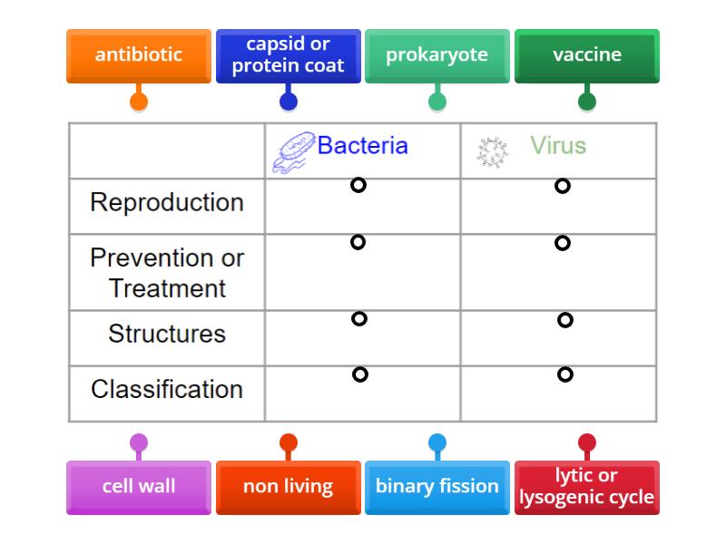 Bacteria and Virus Comparison Chart - Labelled diagram