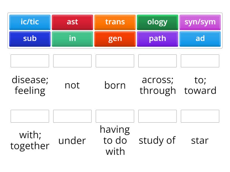 Word Parts Unit One Review - Match up