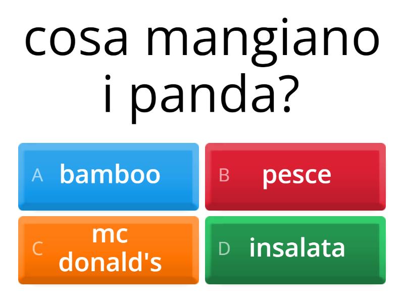 panda ricerca - Quiz