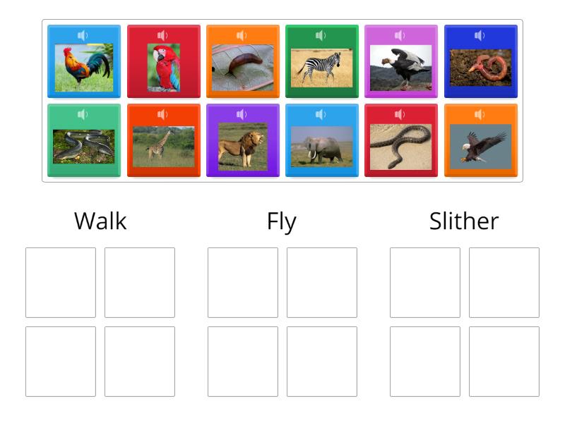 How do animals walk? - Group sort