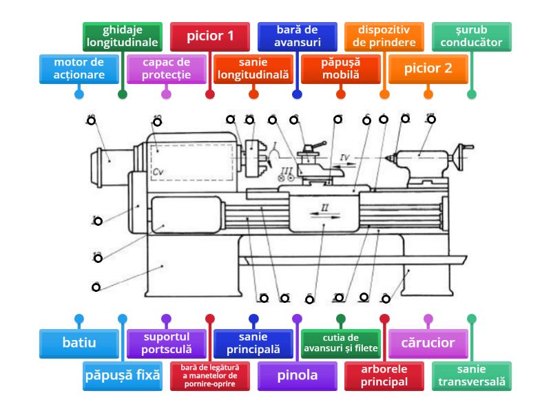 PĂRȚILE COMPONENTE ALE STRUNGULUI NORMAL - Labelled diagram