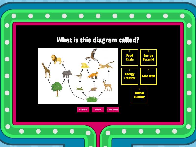 Food Chains & Food Webs - Gameshow quiz
