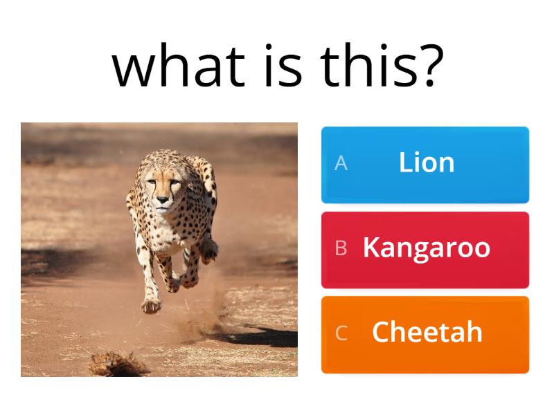 What is this ? - Quiz