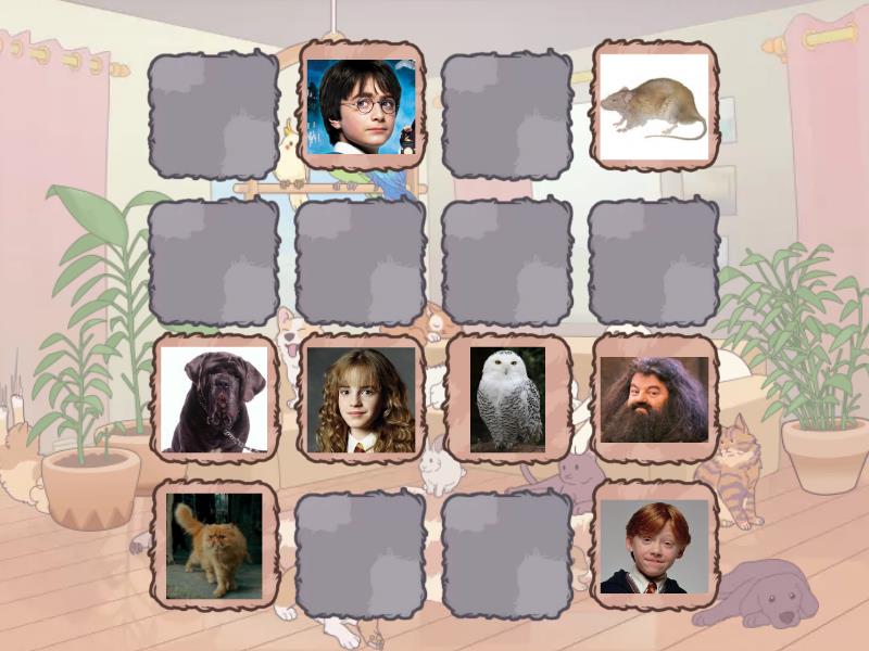 Hogwarts pets - Matching pairs