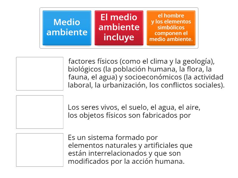 Medio ambiente - Match up