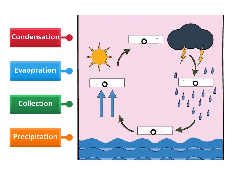 4 Stages of Water Cycle - Labelled diagram