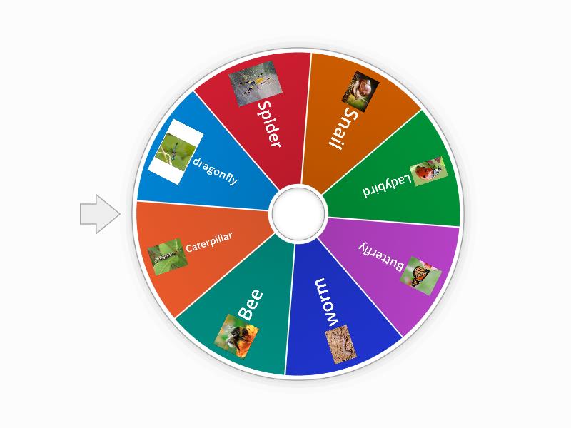 Welsh Mini Beasts PDM - Spin the wheel