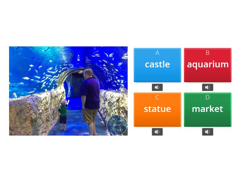 Solutions Pre-Intermediate 6A attractions - Quiz