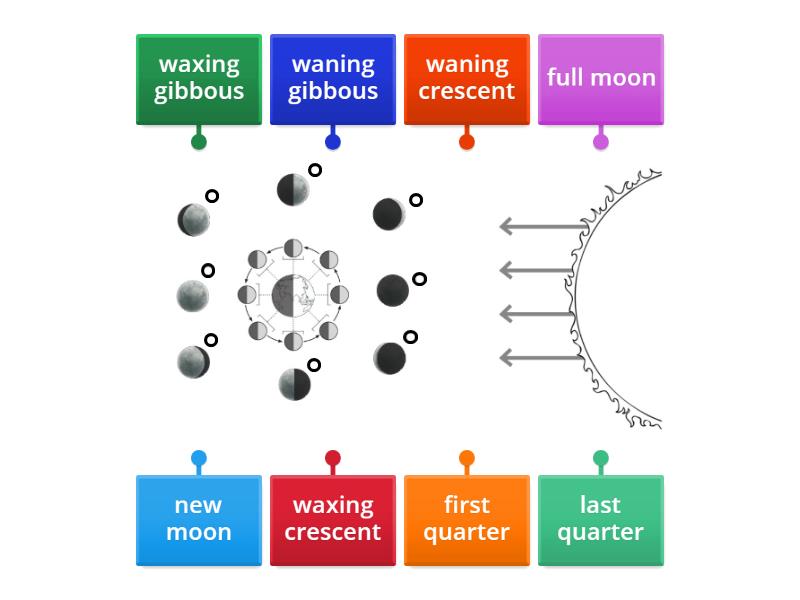 Phases of the Moon - Labelled diagram
