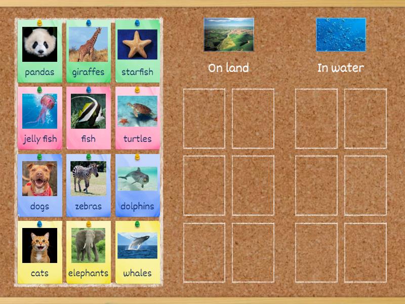 land water animals - Group sort