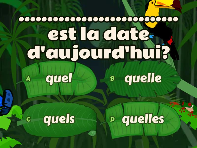 Les adjectifs interrogatifs quel/quelle/quels/quelles - Quiz