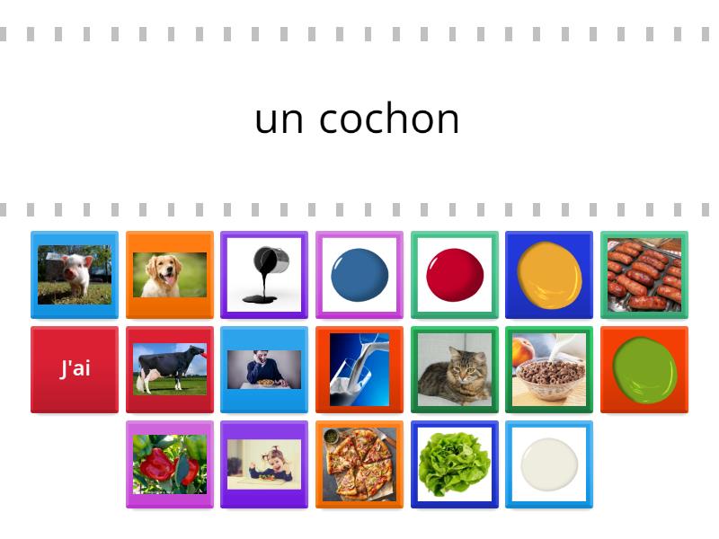 Animaux et couleurs - Find the match