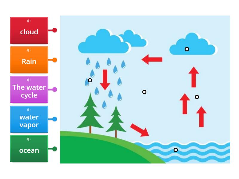 The Water Cycle - Labelled diagram