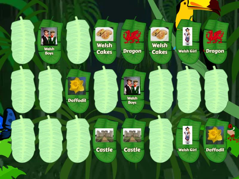 Welsh Emblems Snap - Matching pairs