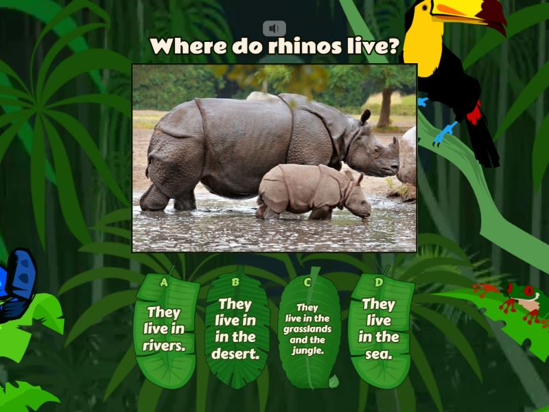 Bugs Team 3 Unit 1 What do animals eat? Where do animals live? - Quiz