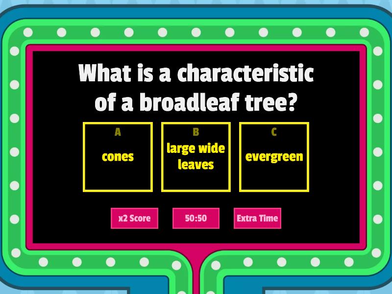Temperate Broadleaf Forest - Gameshow quiz