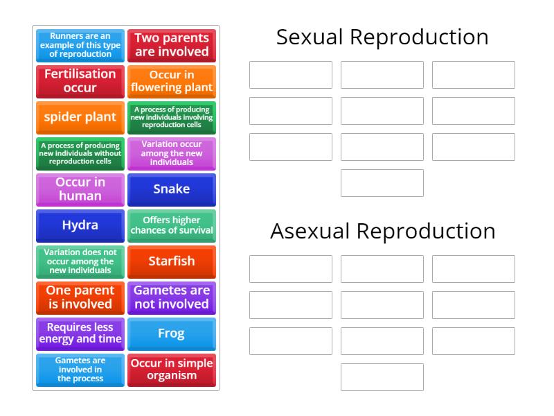 Grade 8 revision: Sexual and Asexual Reproduction - Group sort