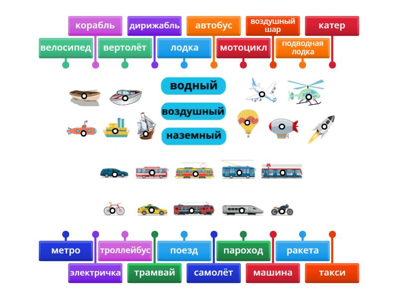 Young Basic (10-4) - Labelled diagram