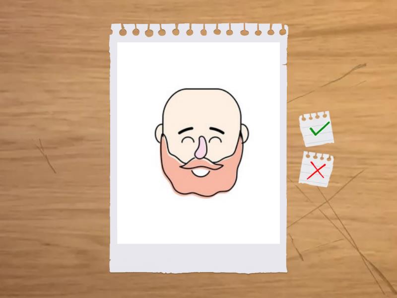 parts of body M3 - Flash cards