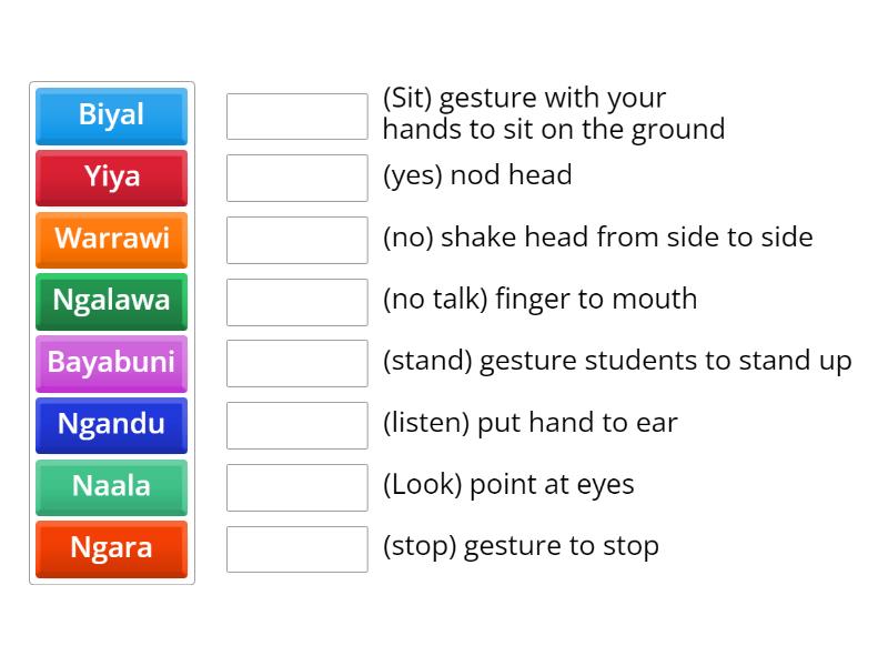 Dharug Language with Mr Z - Match up