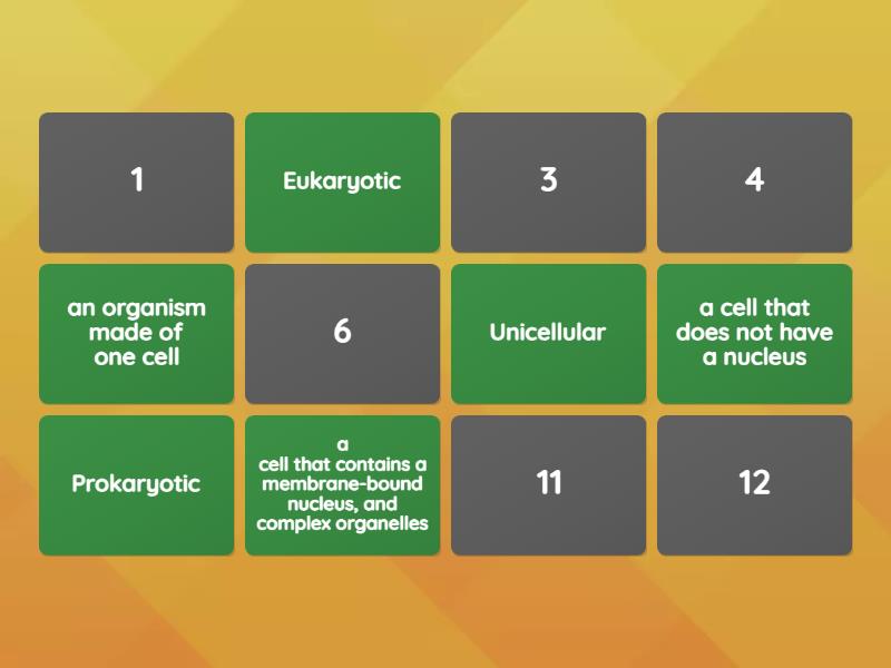 Characteristics of Organisms - Matching pairs