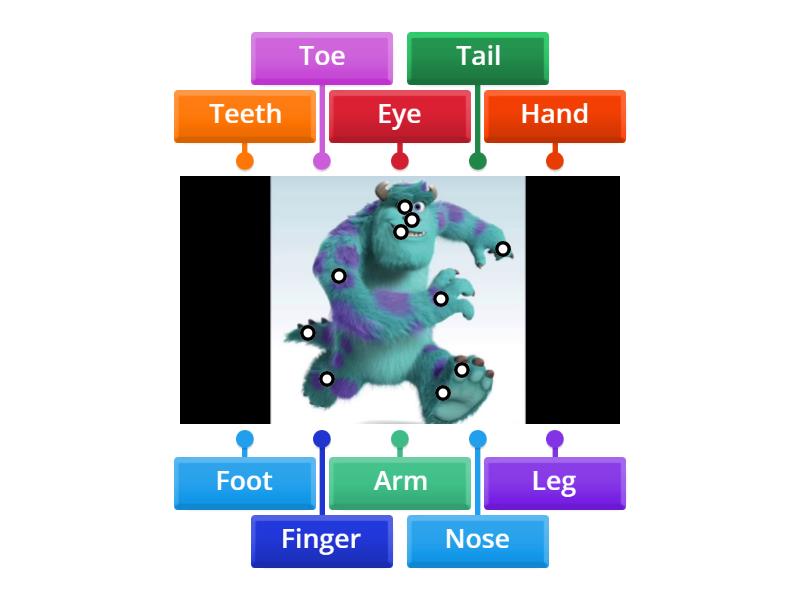 Body parts: Monster - Labelled diagram