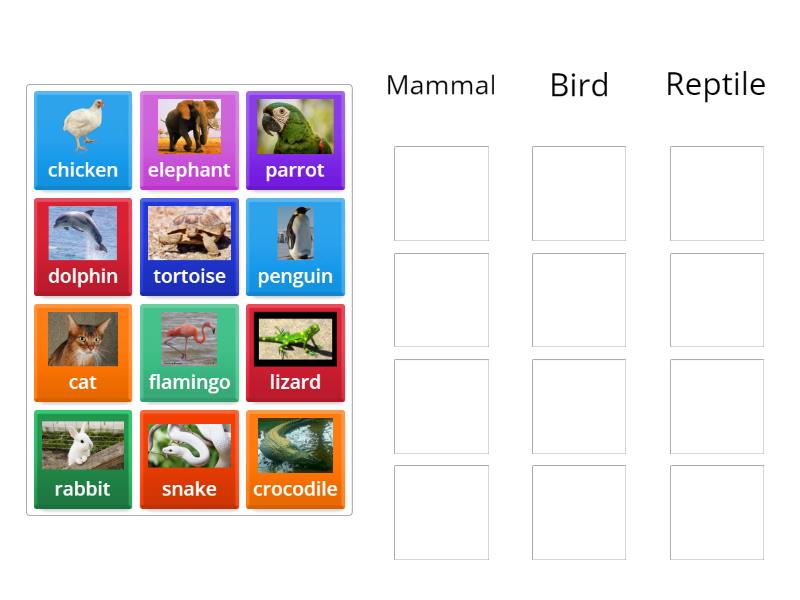 G2- U8- Clil- Animal group - Group sort