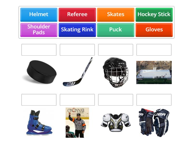 Hockey Vocabulary in Pictures - Match up