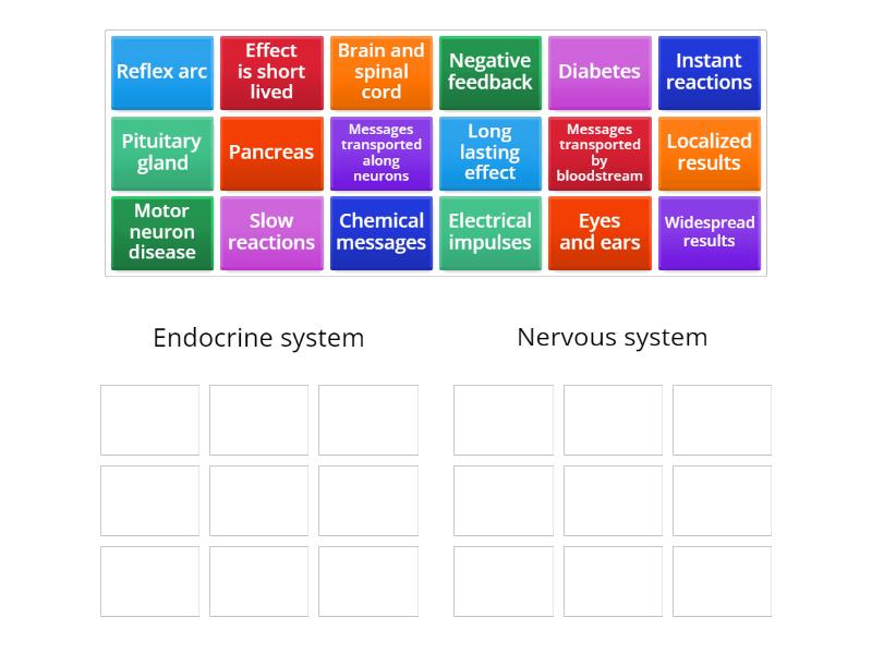 Nerves vs hormones - Group sort