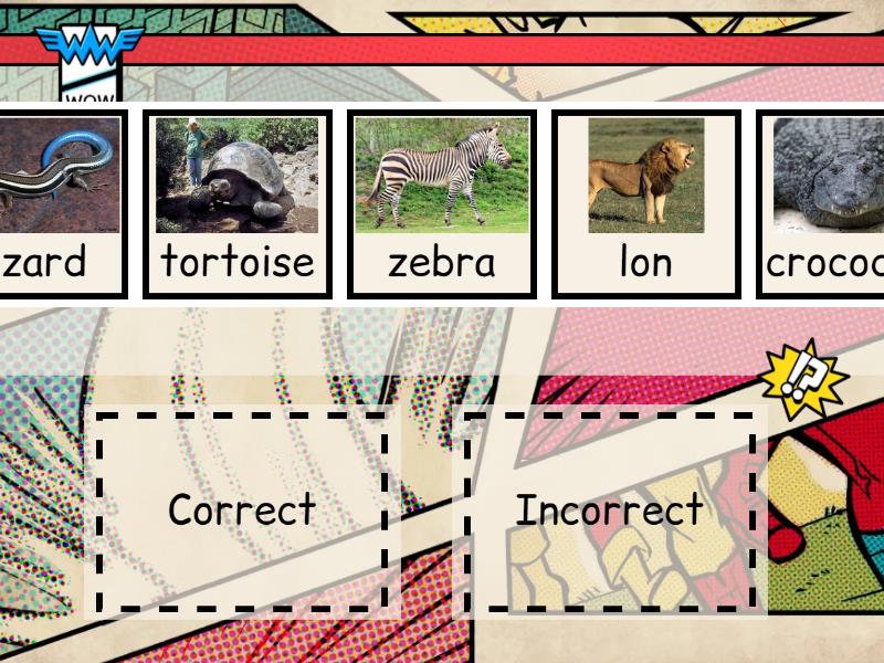 Animals - Speed sorting