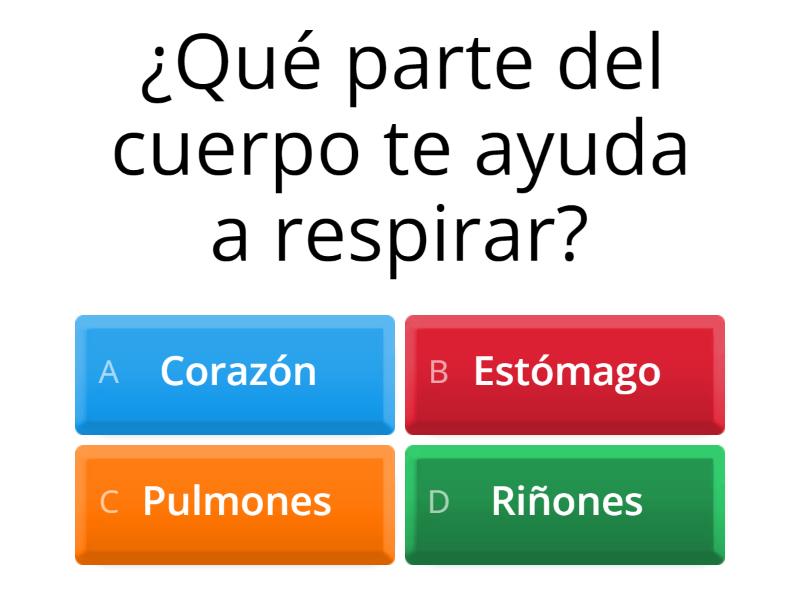 LAS PARTES DEL CUERPO HUMANO - Quiz