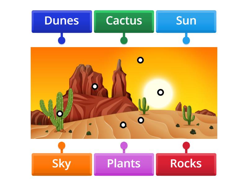 Desert Diagram - Labelled diagram