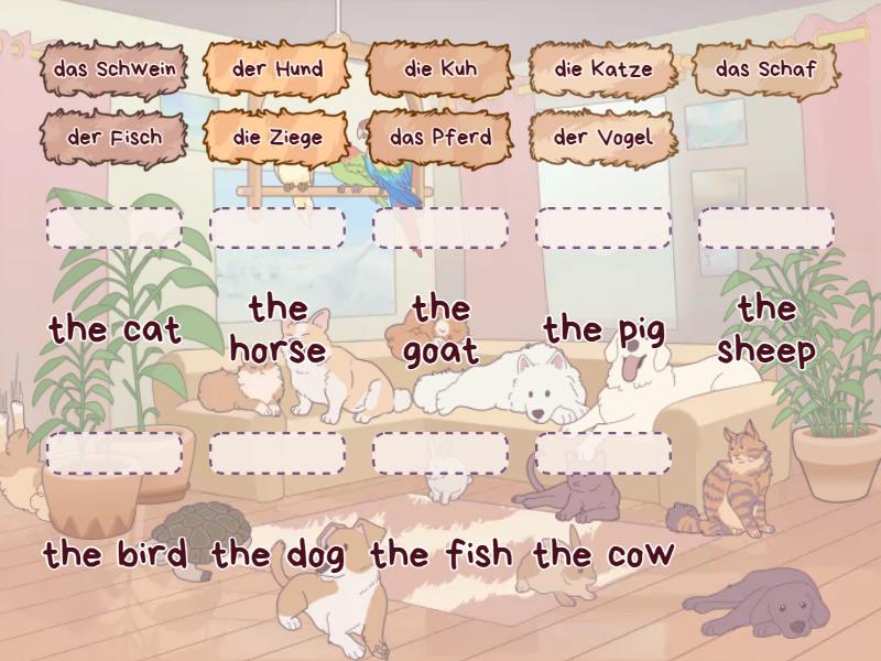 die Tiere - animals A1 - Match up