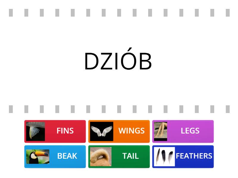 NEA 2 unit 5 body parts - Find the match