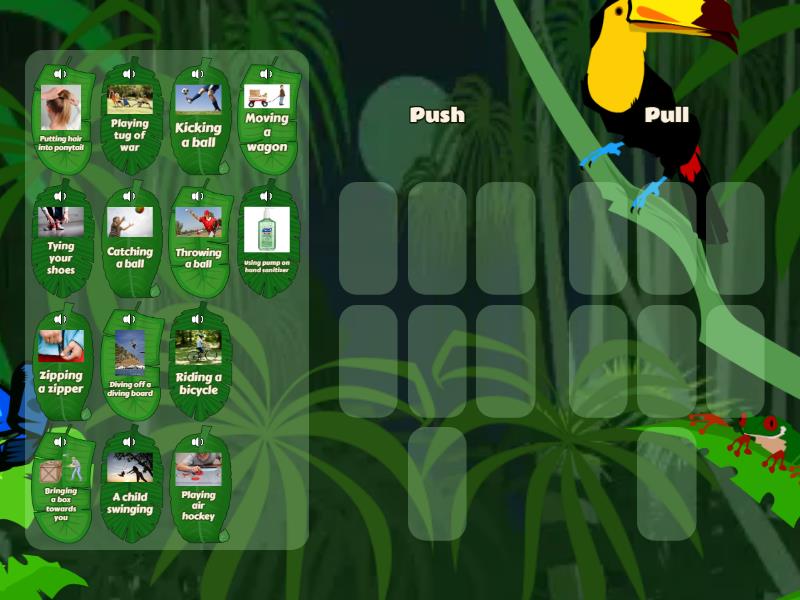 Forces - Push & Pull (Grade 3) - Group sort