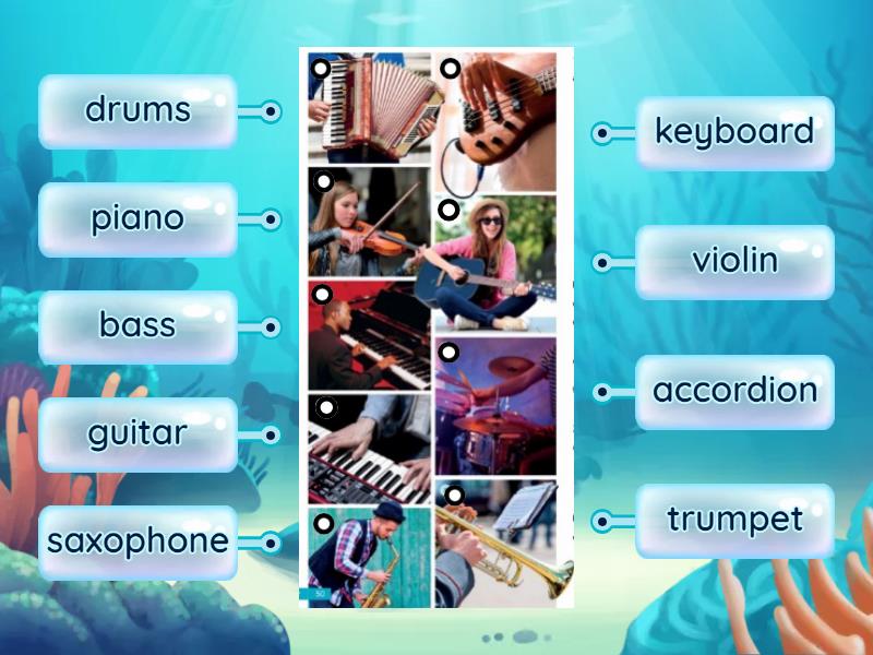 Lesson 4. A very famous orchestra - Labelled diagram