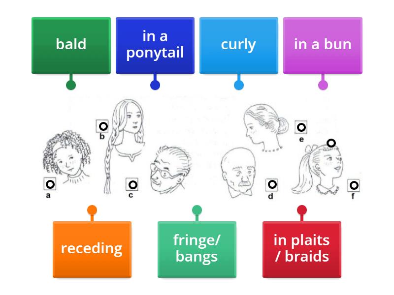 Hair - Labelled diagram