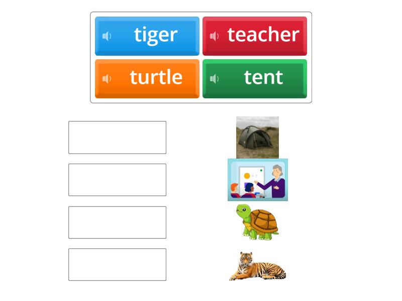 Letter Tt - Match up