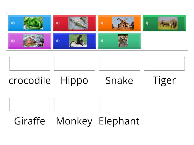 wild animals - Match up