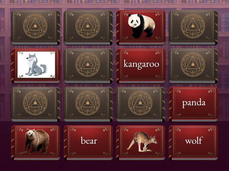 AS2 unit 1 animals - Matching pairs