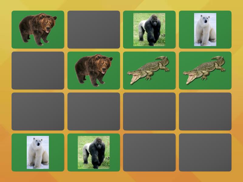Wild animals match - Matching pairs