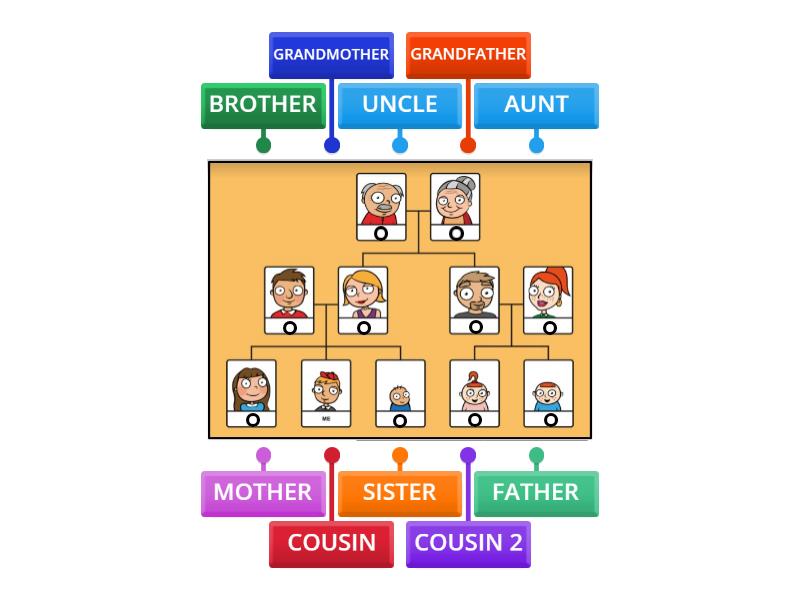Family tree: Match the correct word with the picture. - Labelled diagram