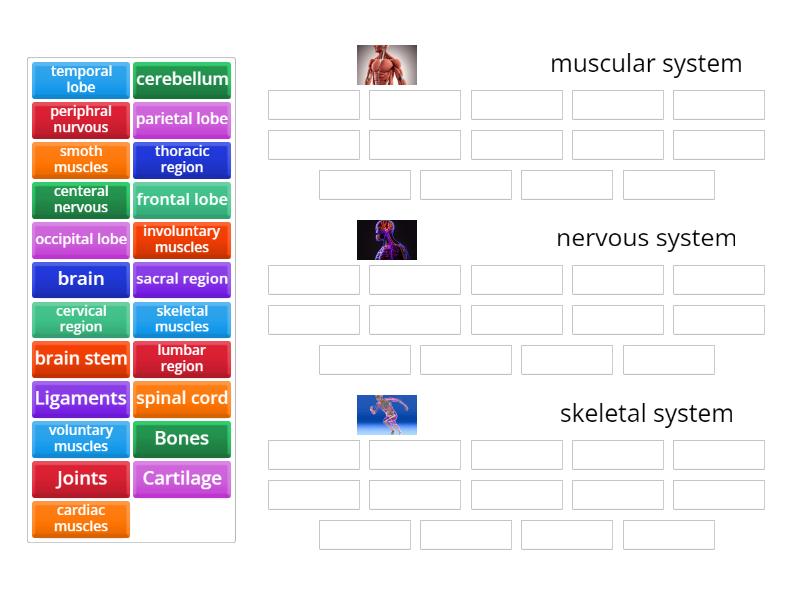 sorting words - Group sort