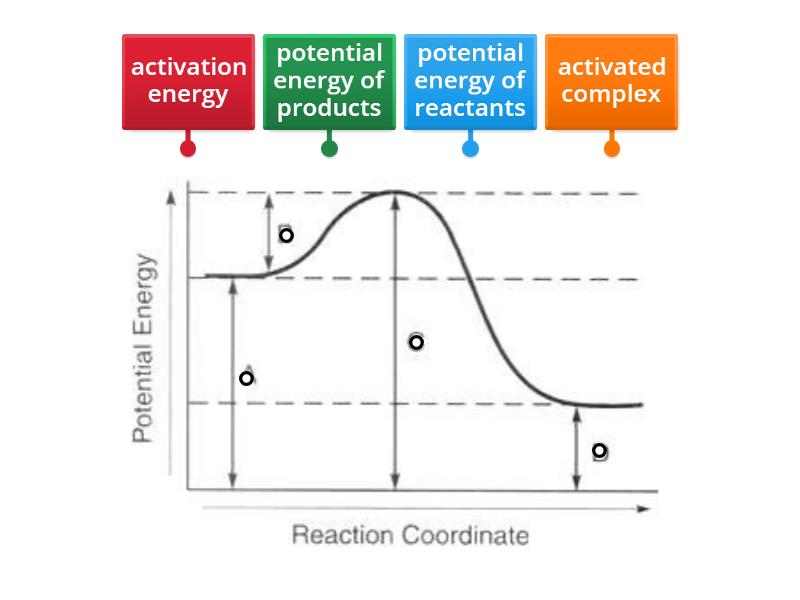 (fixed) PE Diagram #2 - Labelled diagram